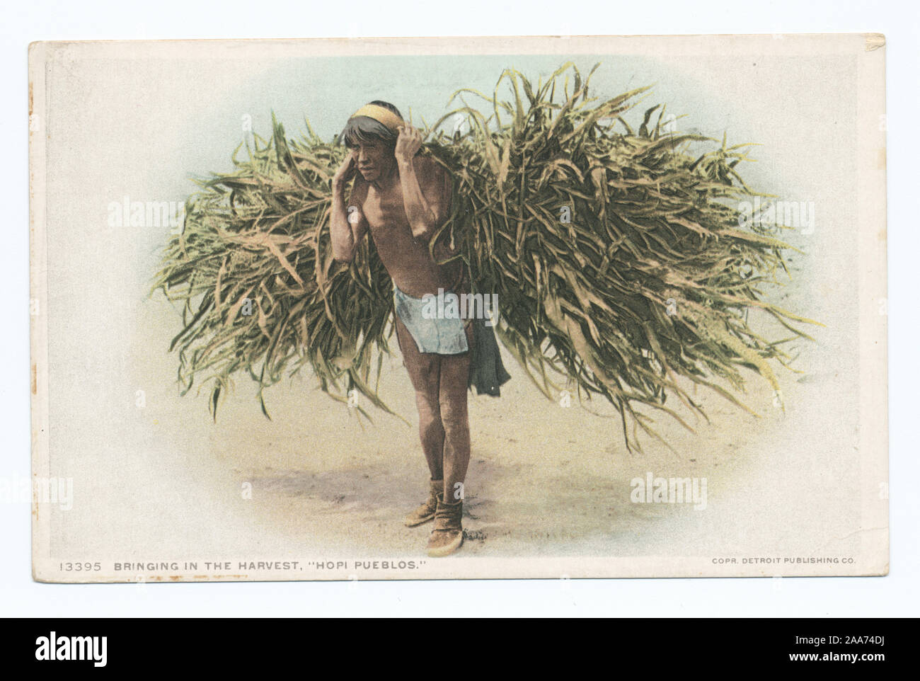 Native american agriculture harvest hi-res stock photography and images ...