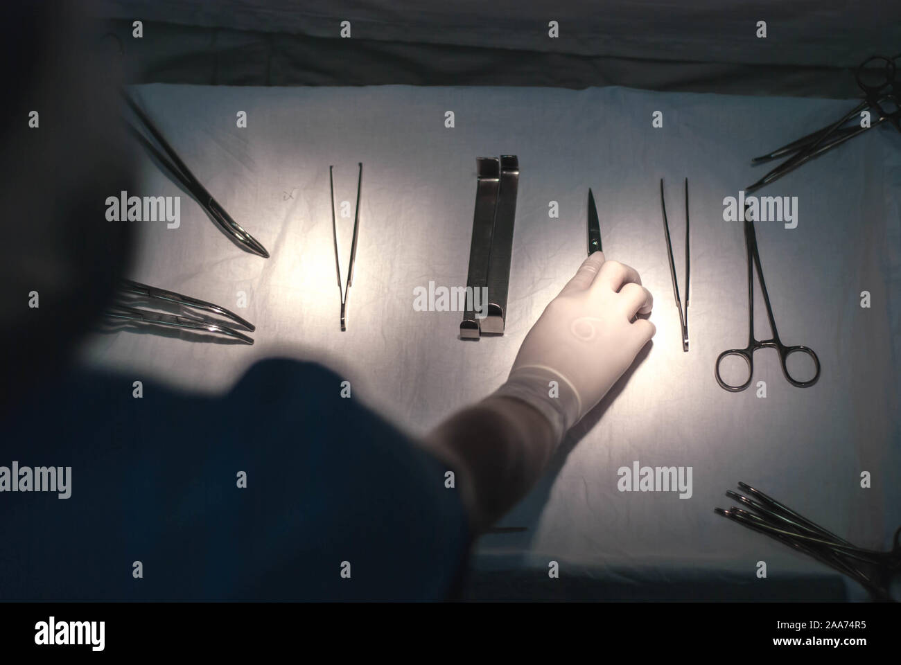 Veterinarians are using knives and scissors to cut a dog's wound ...