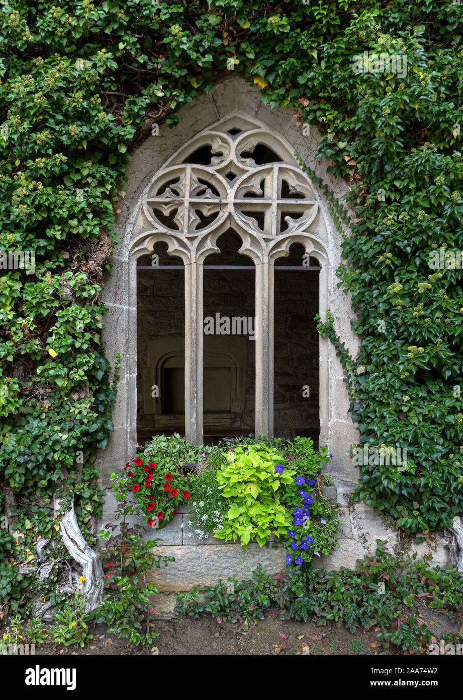 Open gothic window in overgrown facade Stock Photo - Alamy
