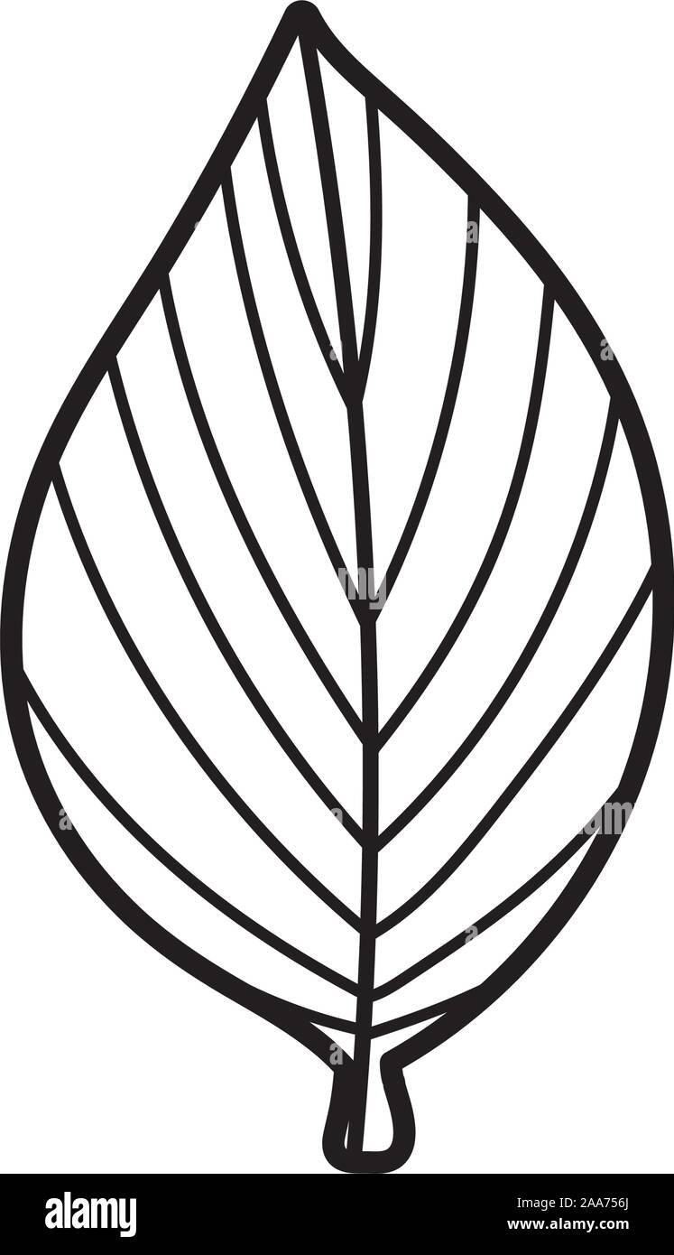 leaf foliage nature on white background vector illustration thick line ...