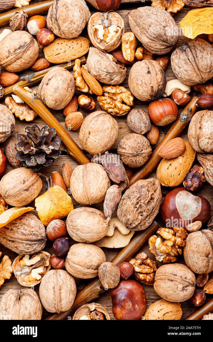 Different types of nuts.Natural background made from different kinds of ...
