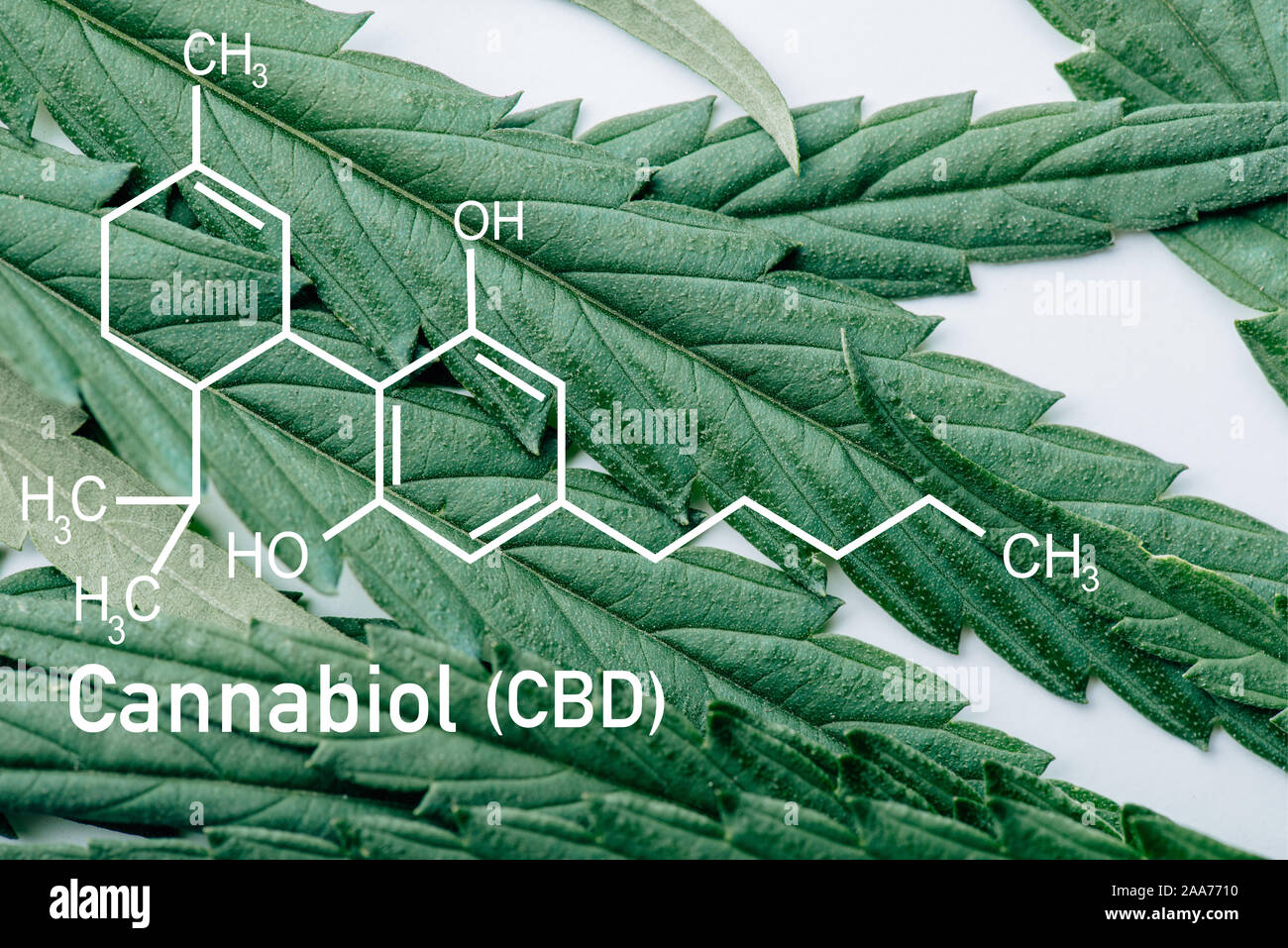 close up view of medical marijuana leaf on white background with cbd ...