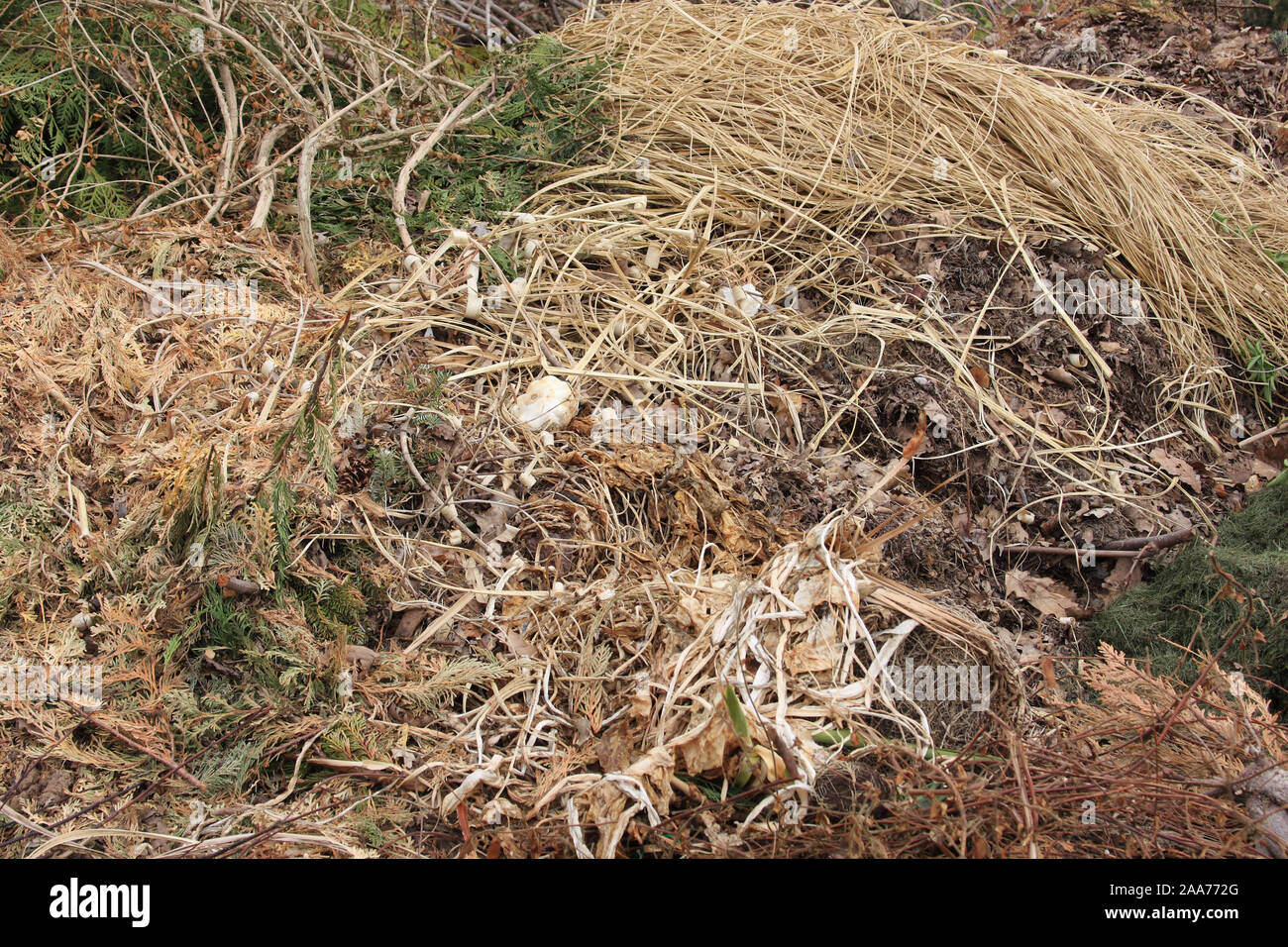 Compost heap leaves kitchen hi-res stock photography and images - Alamy