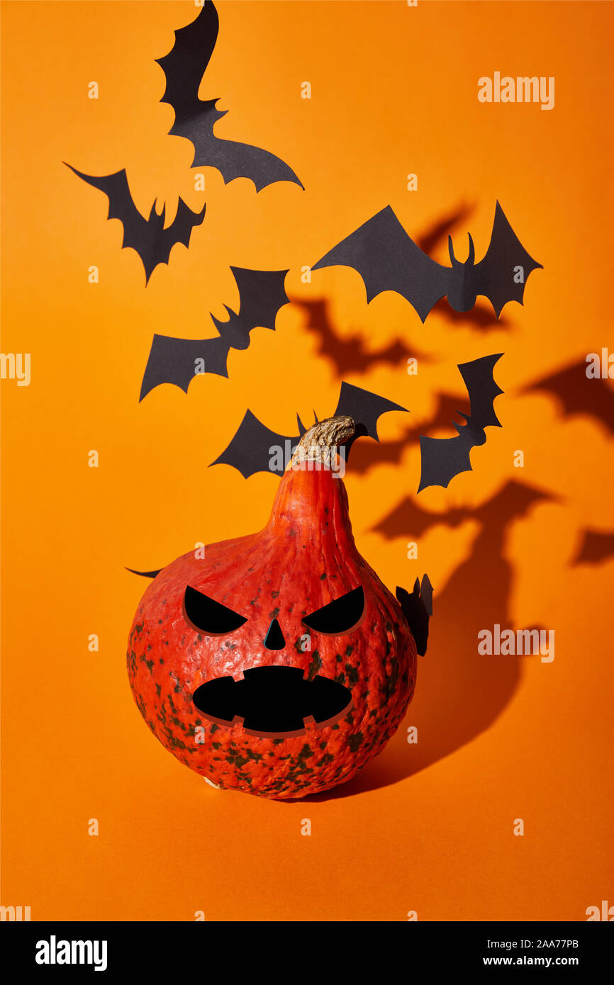 spooky pumpkin and paper bats with shadow on orange background ...