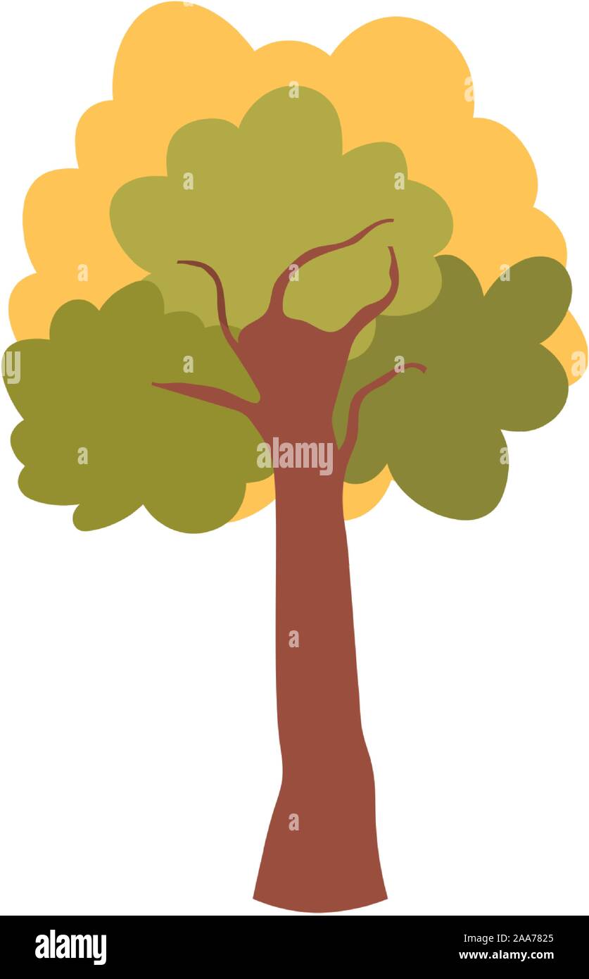 botanical forest tree foliage on white background vector illustration ...