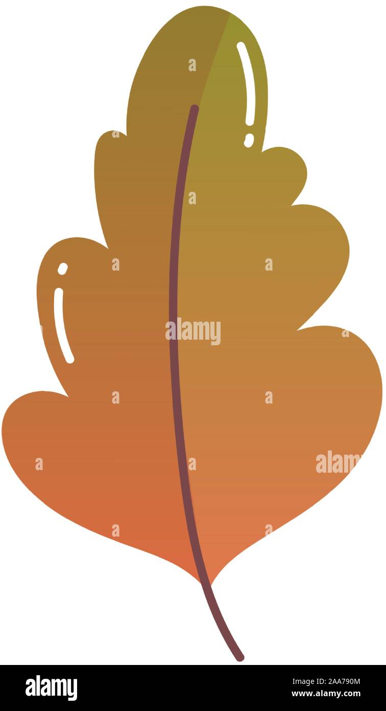 leaf foliage nature on white background vector illustration Stock ...