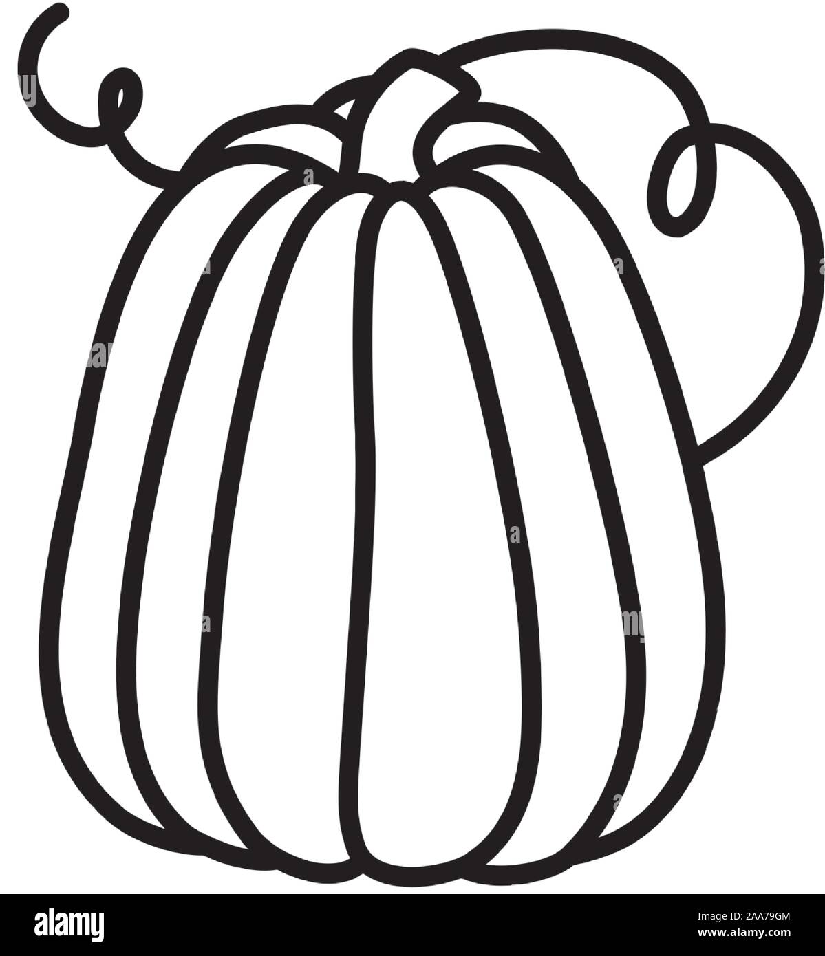 pumpkin vegetable harvest on white background vector illustration thick ...