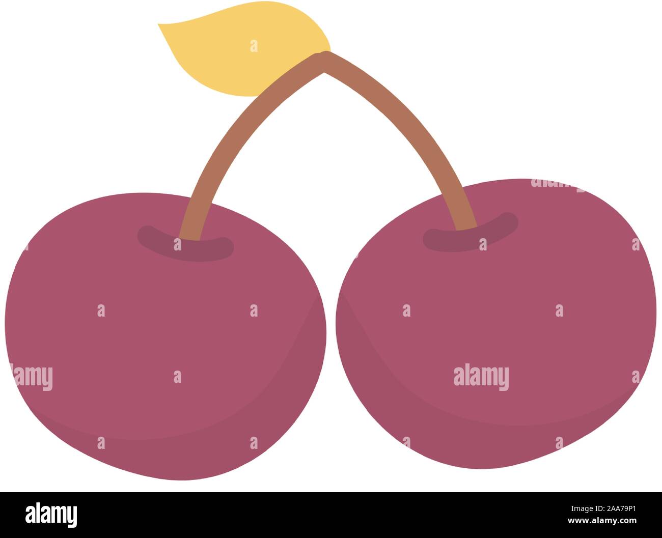 fresh cherry fruit on white background vector illustration Stock Vector ...