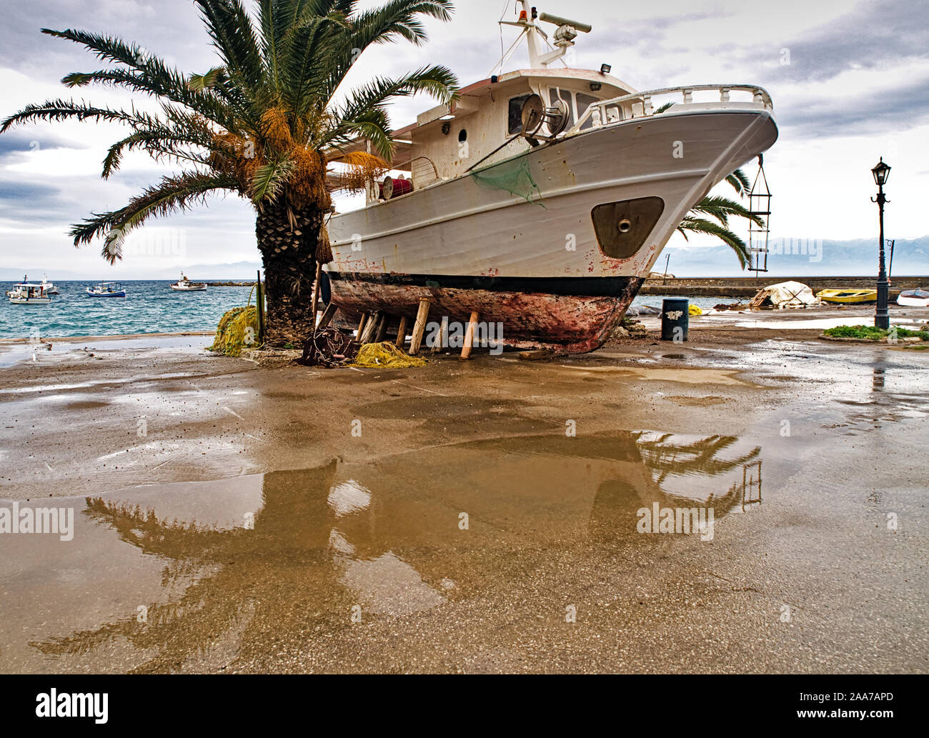 Palm tree and decommissioned large fishing boat supported by wooden ...