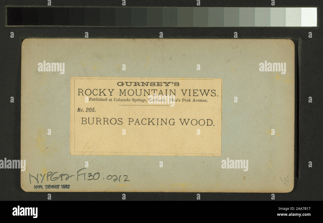 Burros packing wood.; Burros packing wood Stock Photo - Alamy