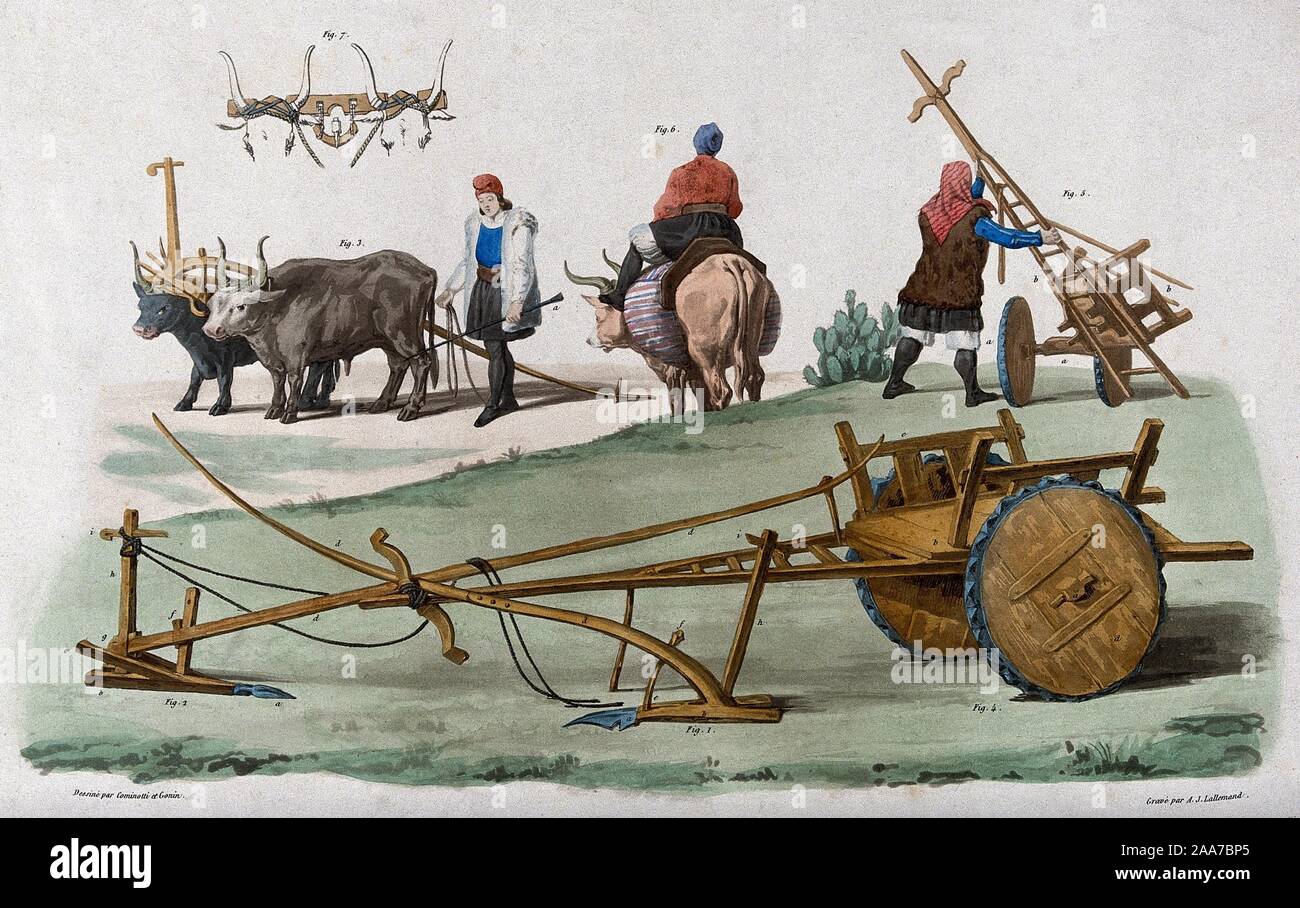 1890s Agriculture High Resolution Stock Photography and Images - Alamy