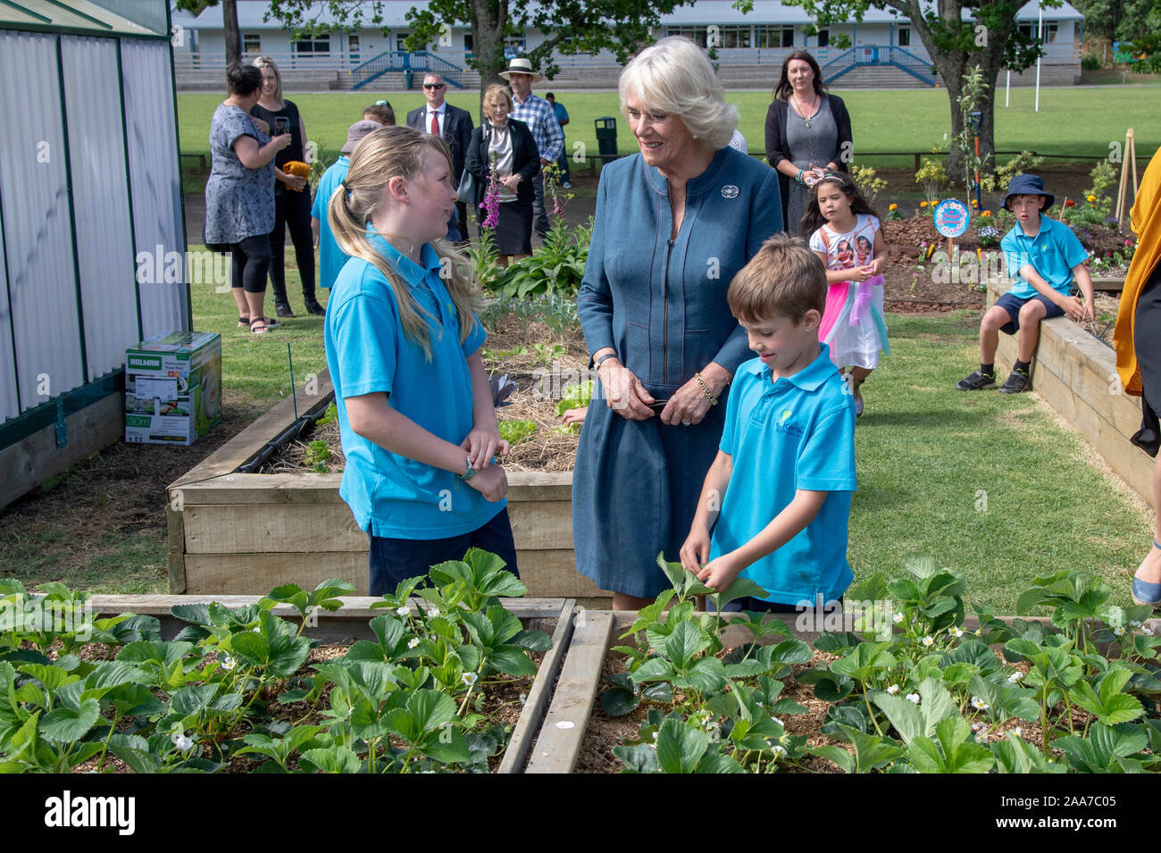 The duchess cornwall kerikeri primary school hi-res stock photography ...