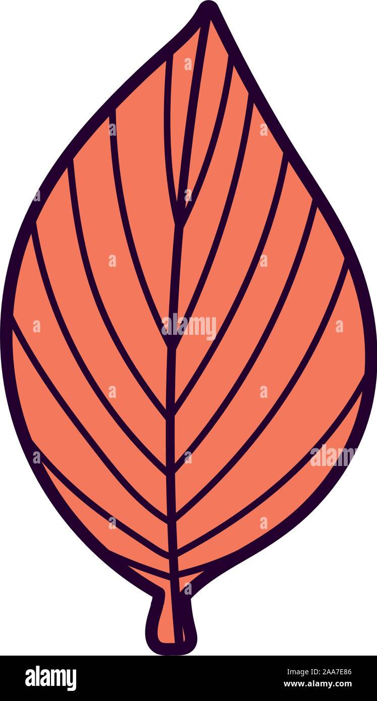 leaf foliage nature on white background vector illustration Stock ...