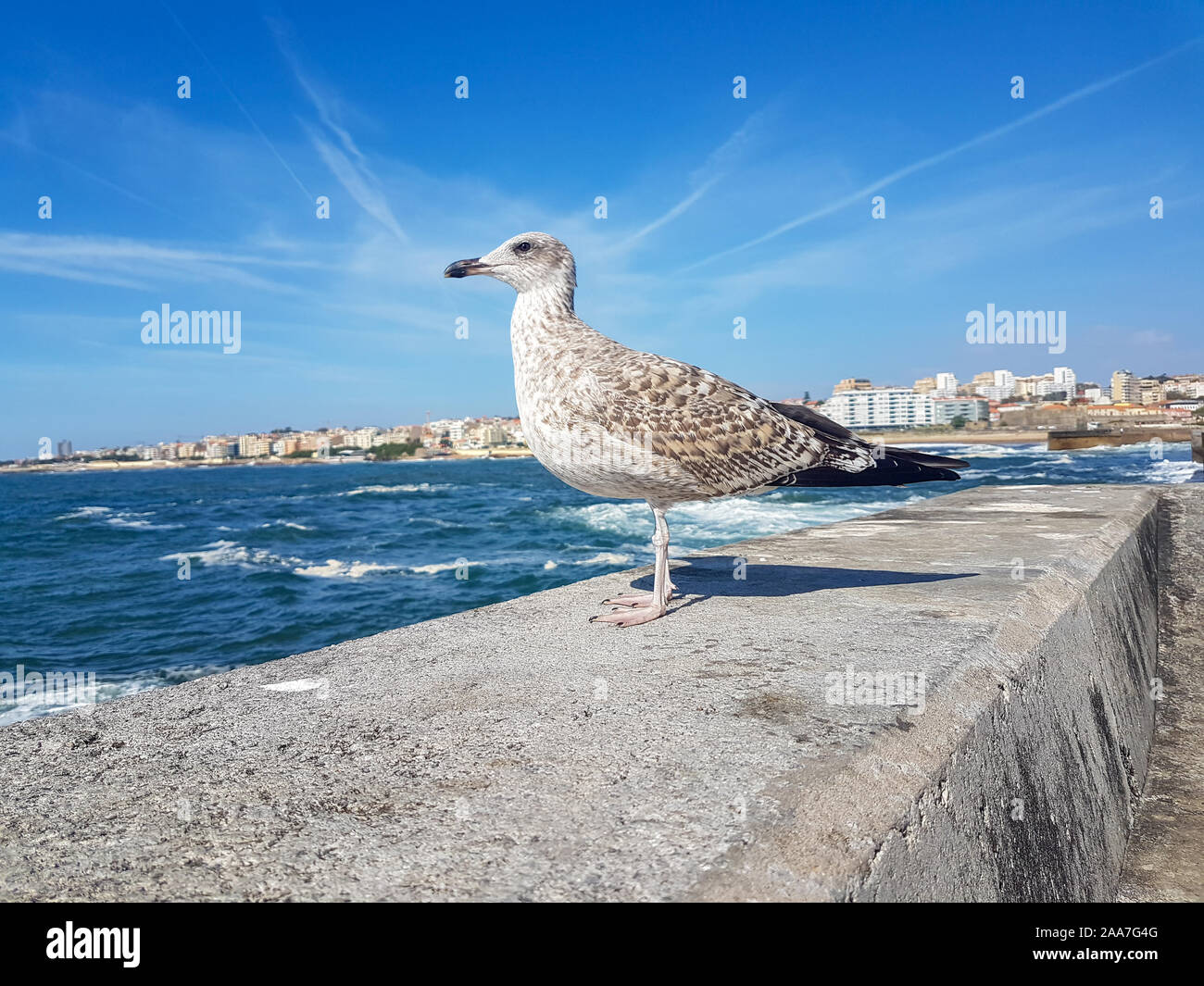 Pantone pier hi-res stock photography and images - Alamy