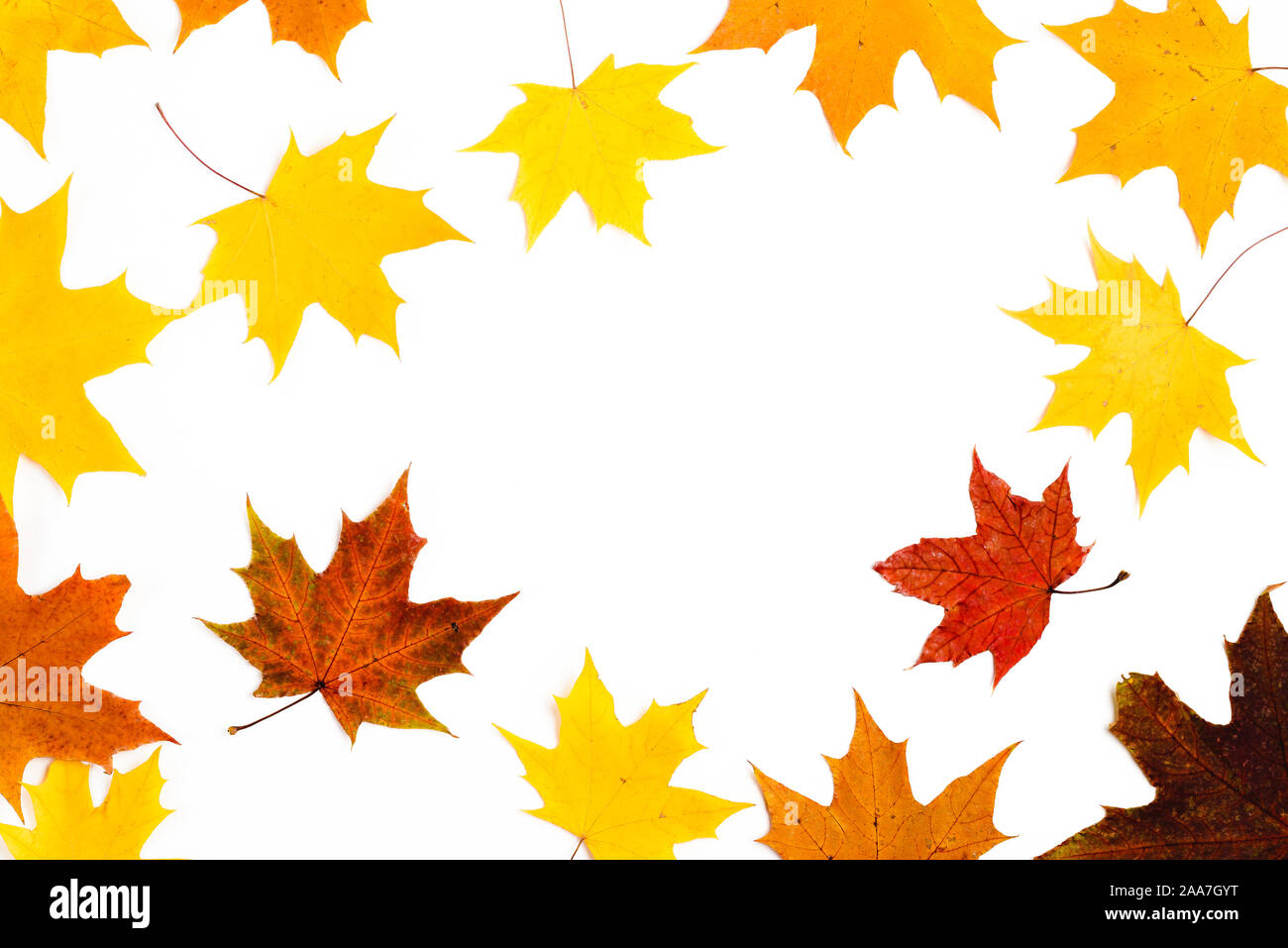 Nice border made from color falling maple leaves Stock Photo - Alamy