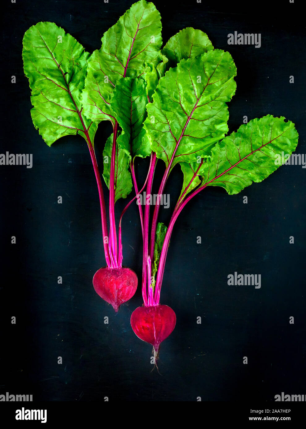 Beetroot cut in half on a dark background, place for text Stock Photo ...