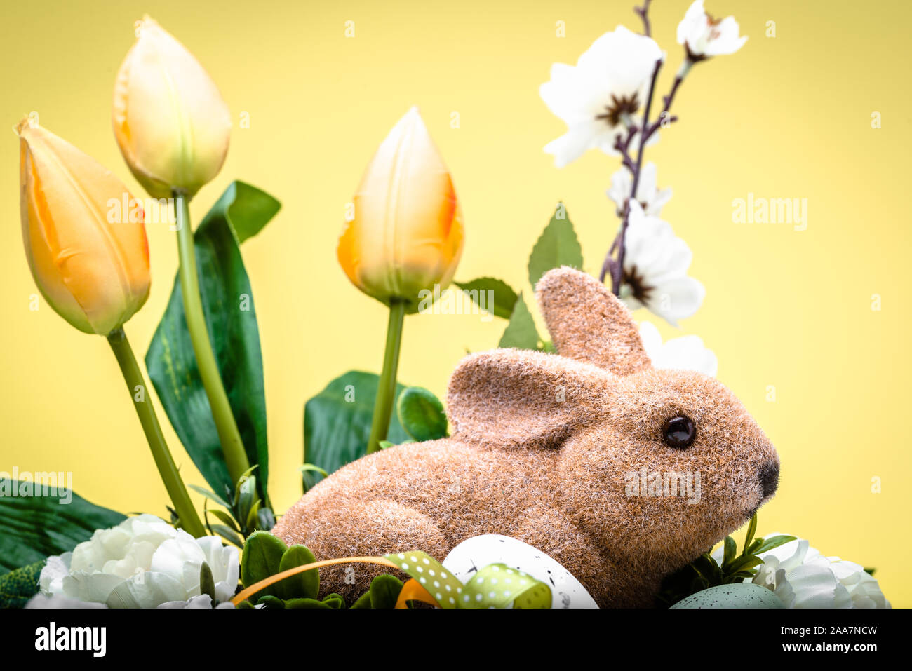 Easter bunny, spring easter background Stock Photo - Alamy