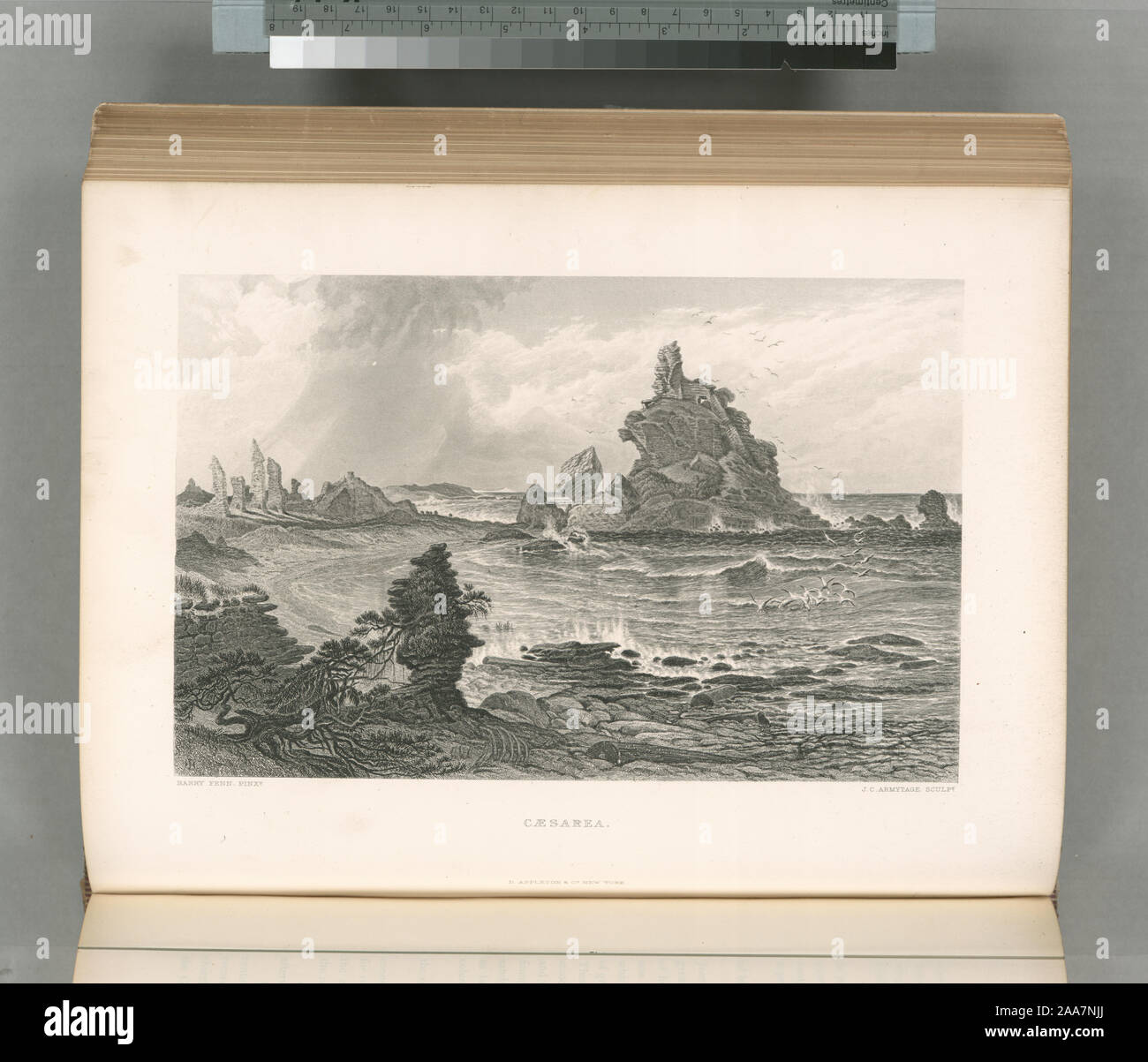 Colonel Wilson, ed.; Caesarea Stock Photo - Alamy