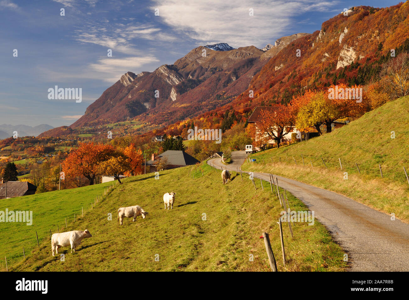 Savoy landscape hi-res stock photography and images - Alamy
