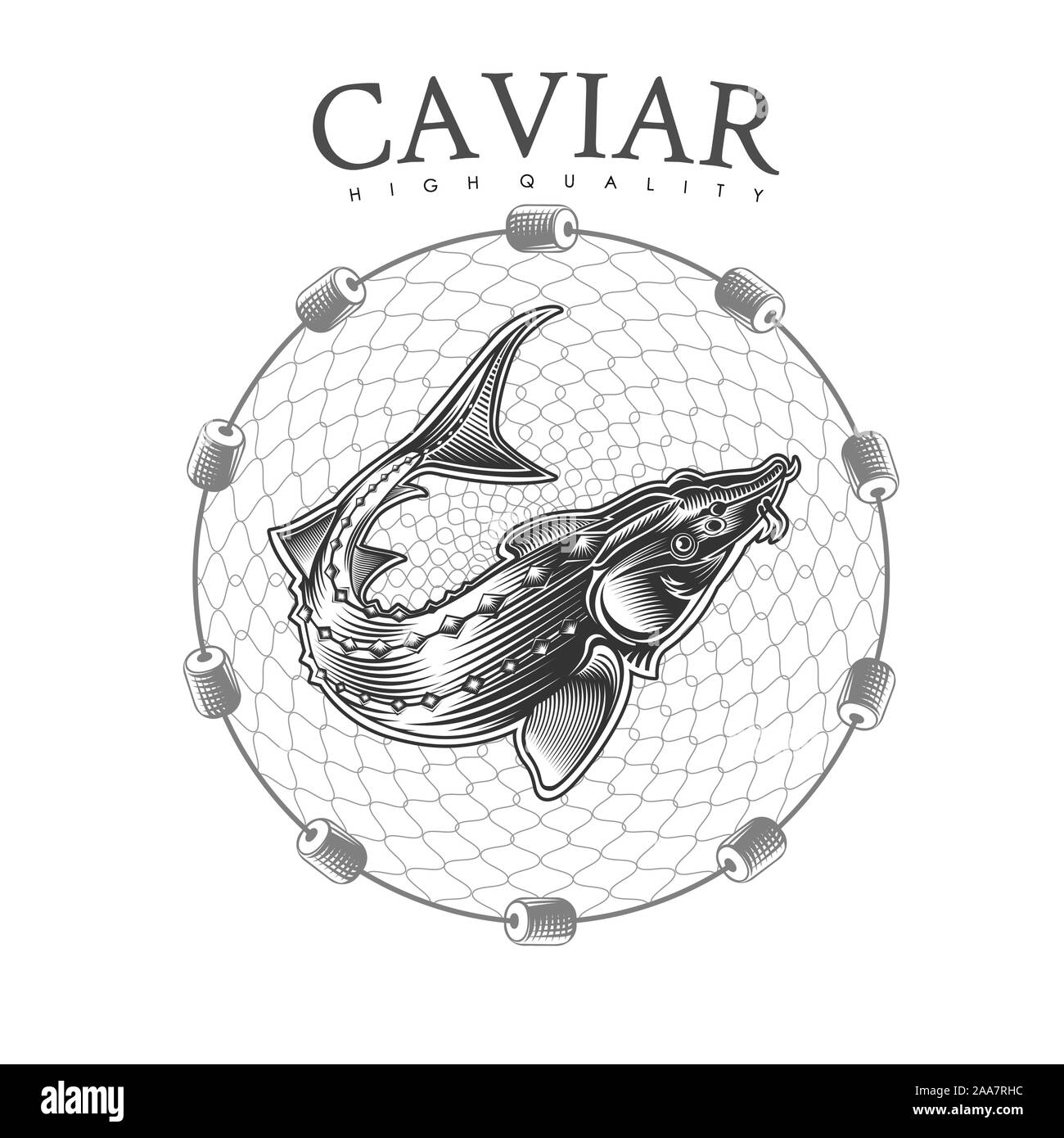 Sturgeon fish into round fishing nets engraving style. Label for fish ...