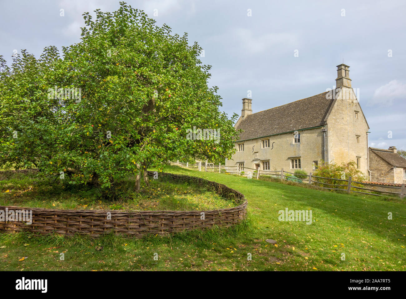 Isaac newton apple tree hi-res stock photography and images - Alamy