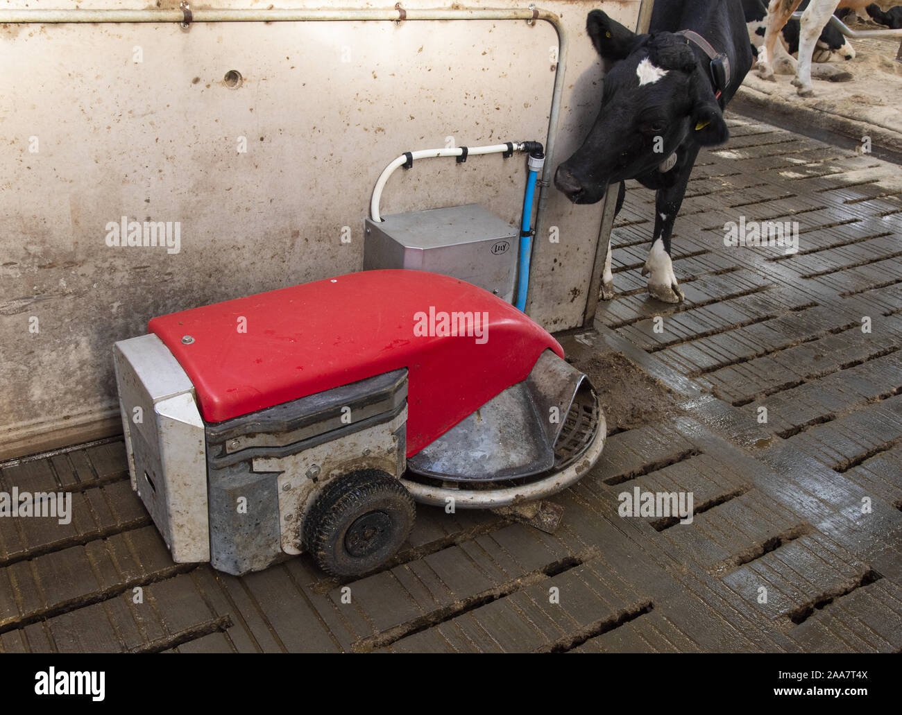 Robot scraper in a cubicle house, Gloucestershire Stock Photo - Alamy