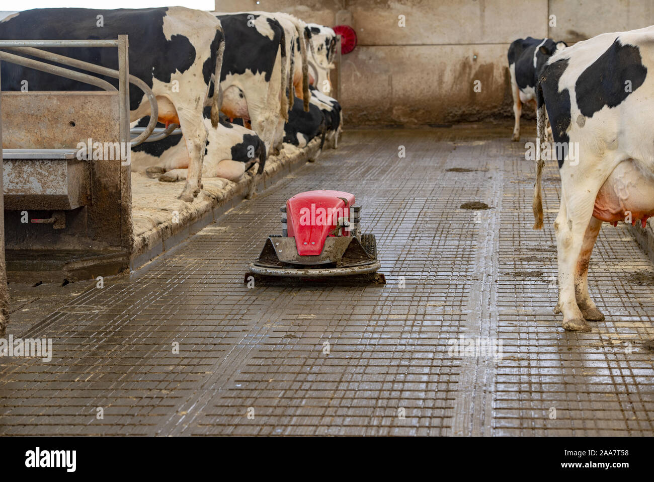 Robot scraper in a cubicle house, Gloucestershire Stock Photo - Alamy