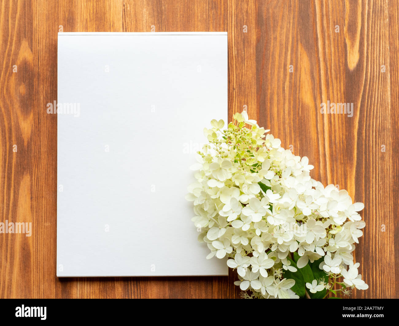 Billboard with blank sheet for notes and white flower hydrangeain ...