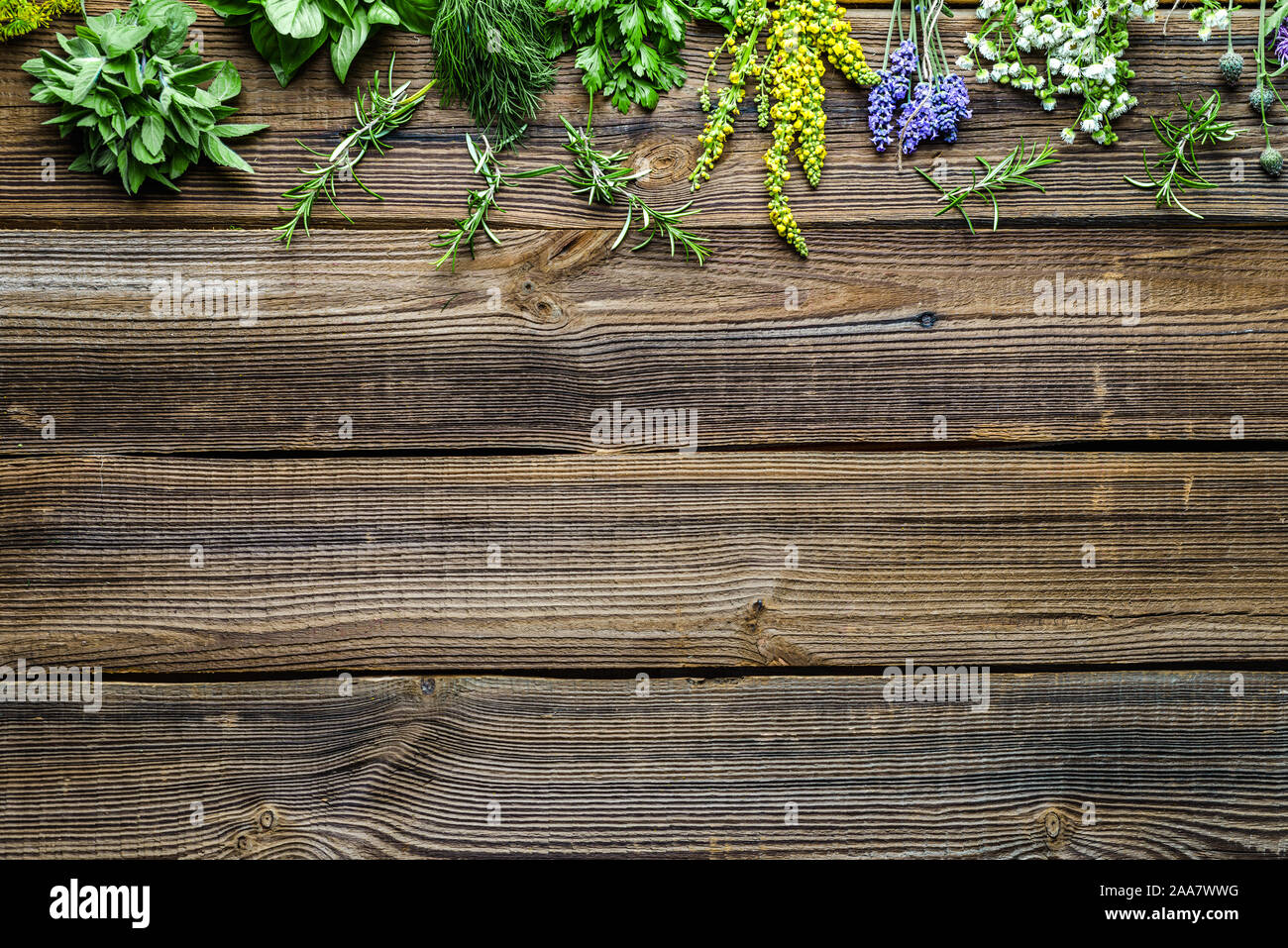 Fresh herbs, background with copy space Stock Photo - Alamy