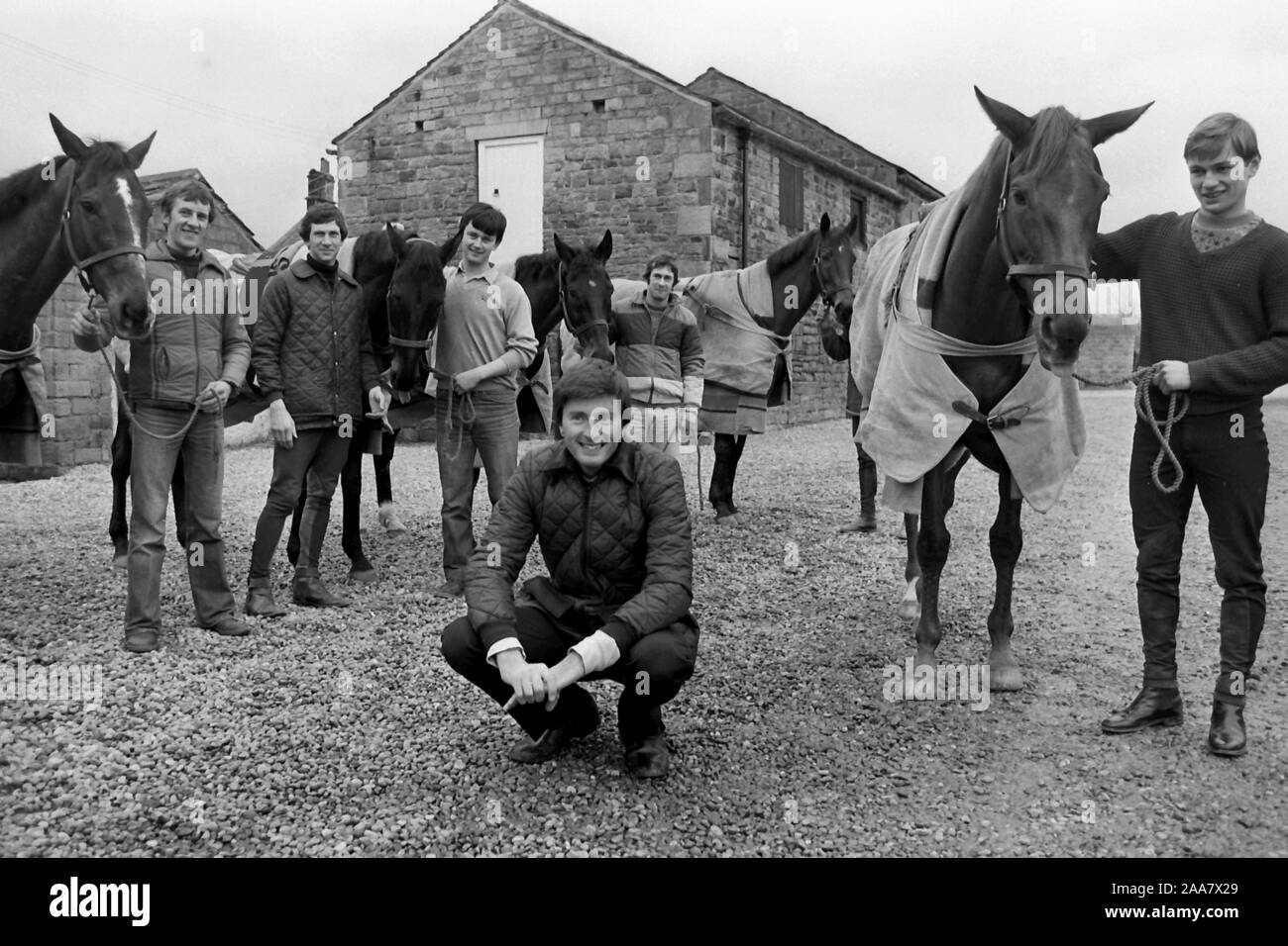Horse 1983 hi-res stock photography and images - Alamy