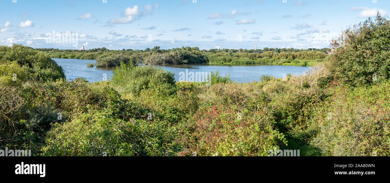 Panorama of Westerplas lake with lighthouse and water tower on island ...