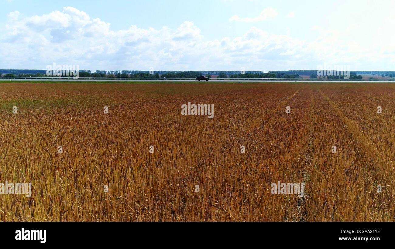 Aerial view Highway through fields, cars are driving. A drone flies ...