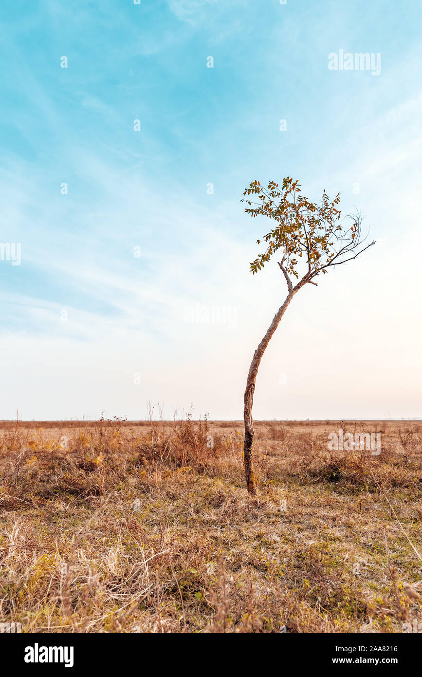 Curved landscape hi-res stock photography and images - Alamy