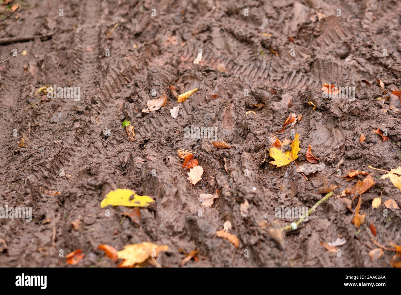 Muddy wheel of bicycle hi-res stock photography and images - Alamy