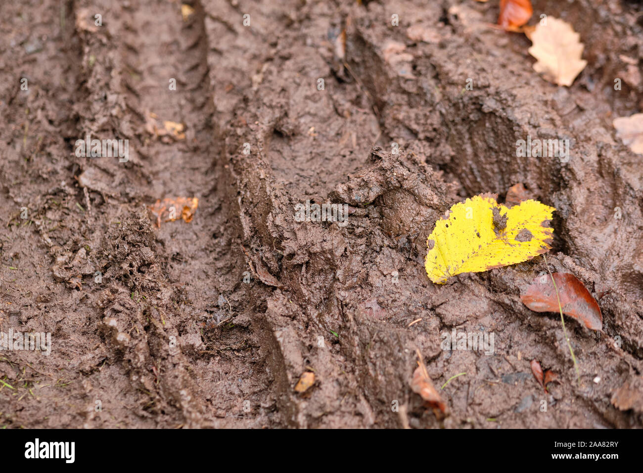 Muddy wheel of bicycle hi-res stock photography and images - Alamy