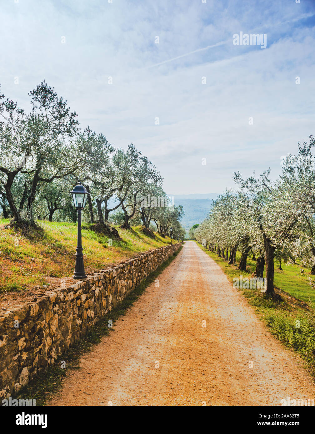 Tuscany, Italy generic dirt country road leading to a vanishing point ...