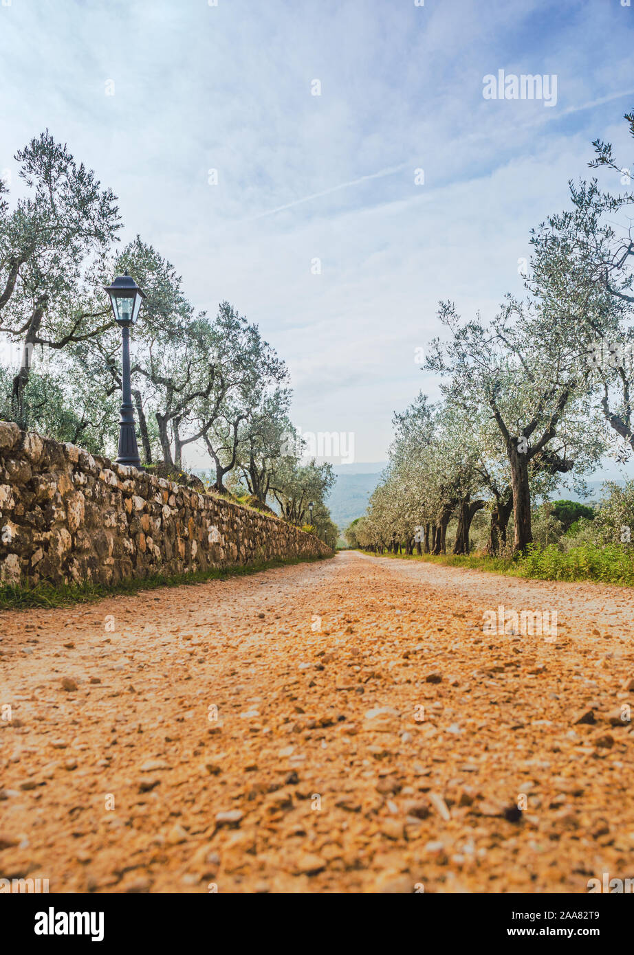 Tuscany, Italy generic dirt country road leading to a vanishing point ...