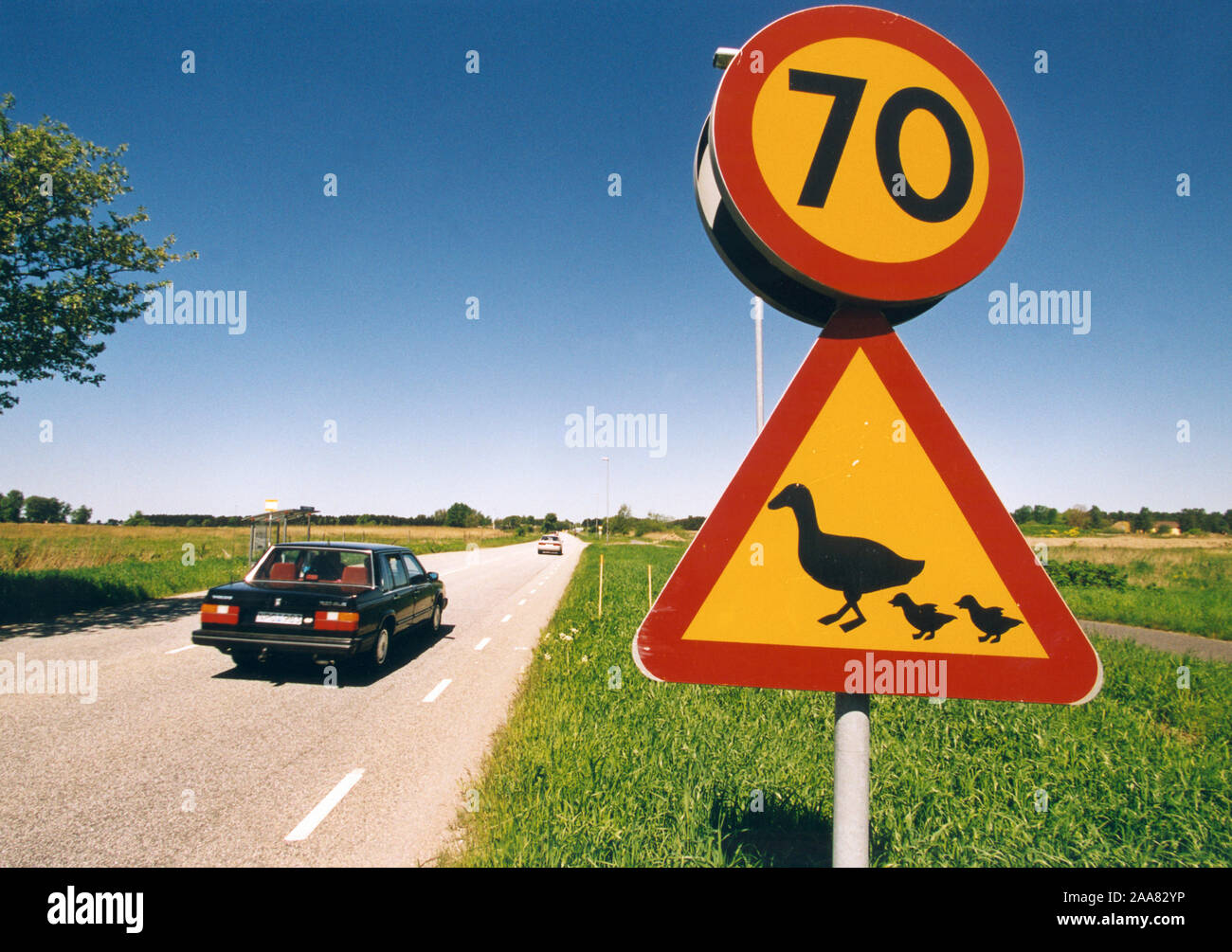 Traffic signs warn of passing geese Stock Photo - Alamy