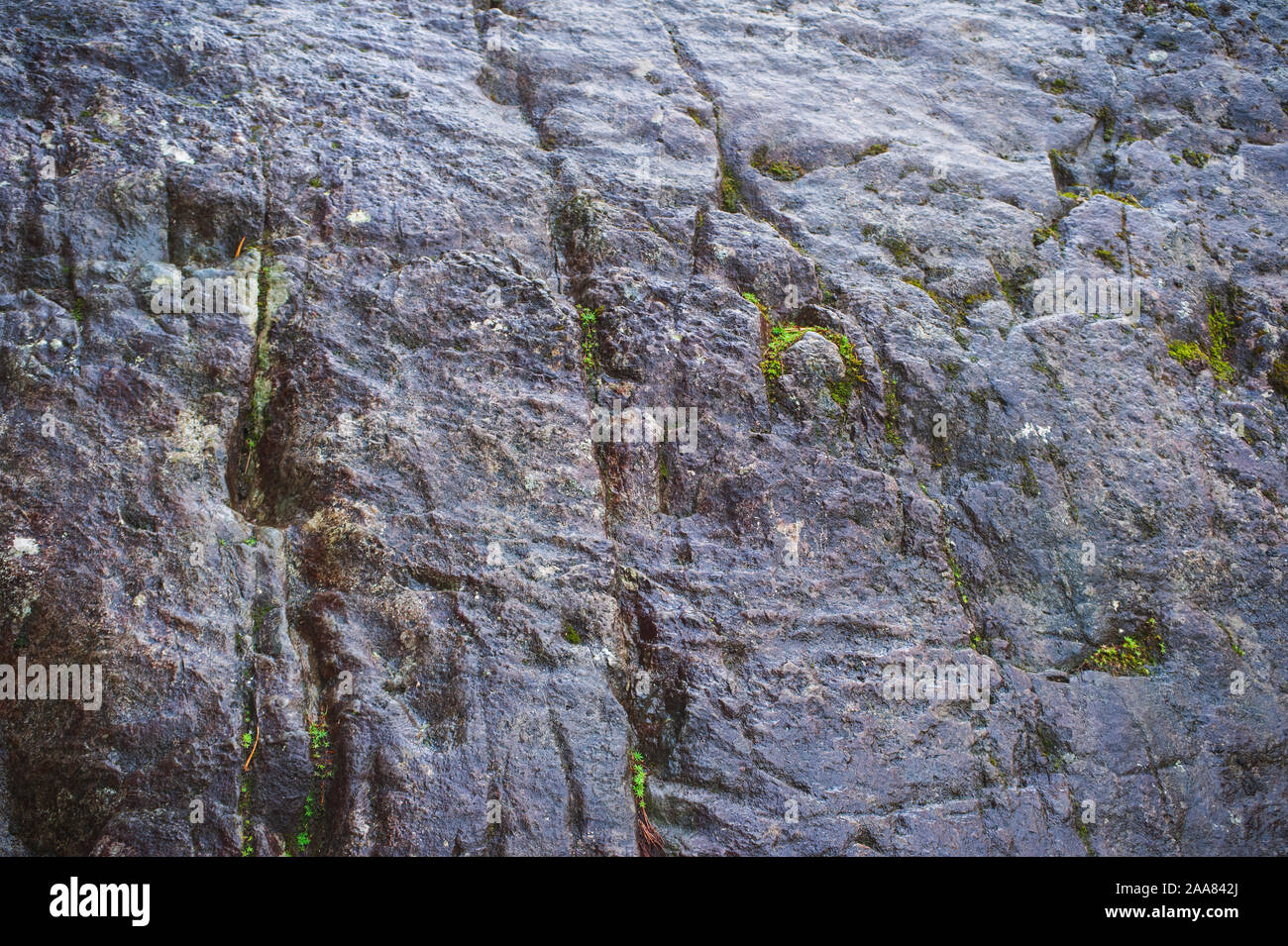 Wet stone texture with a moss Stock Photo - Alamy
