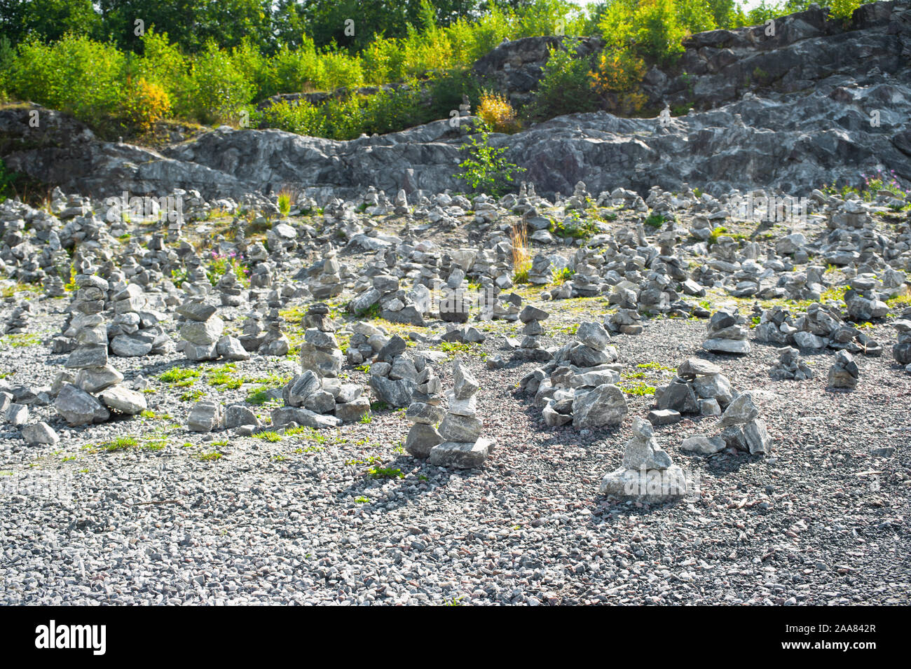 Field with small standing stones Stock Photo - Alamy