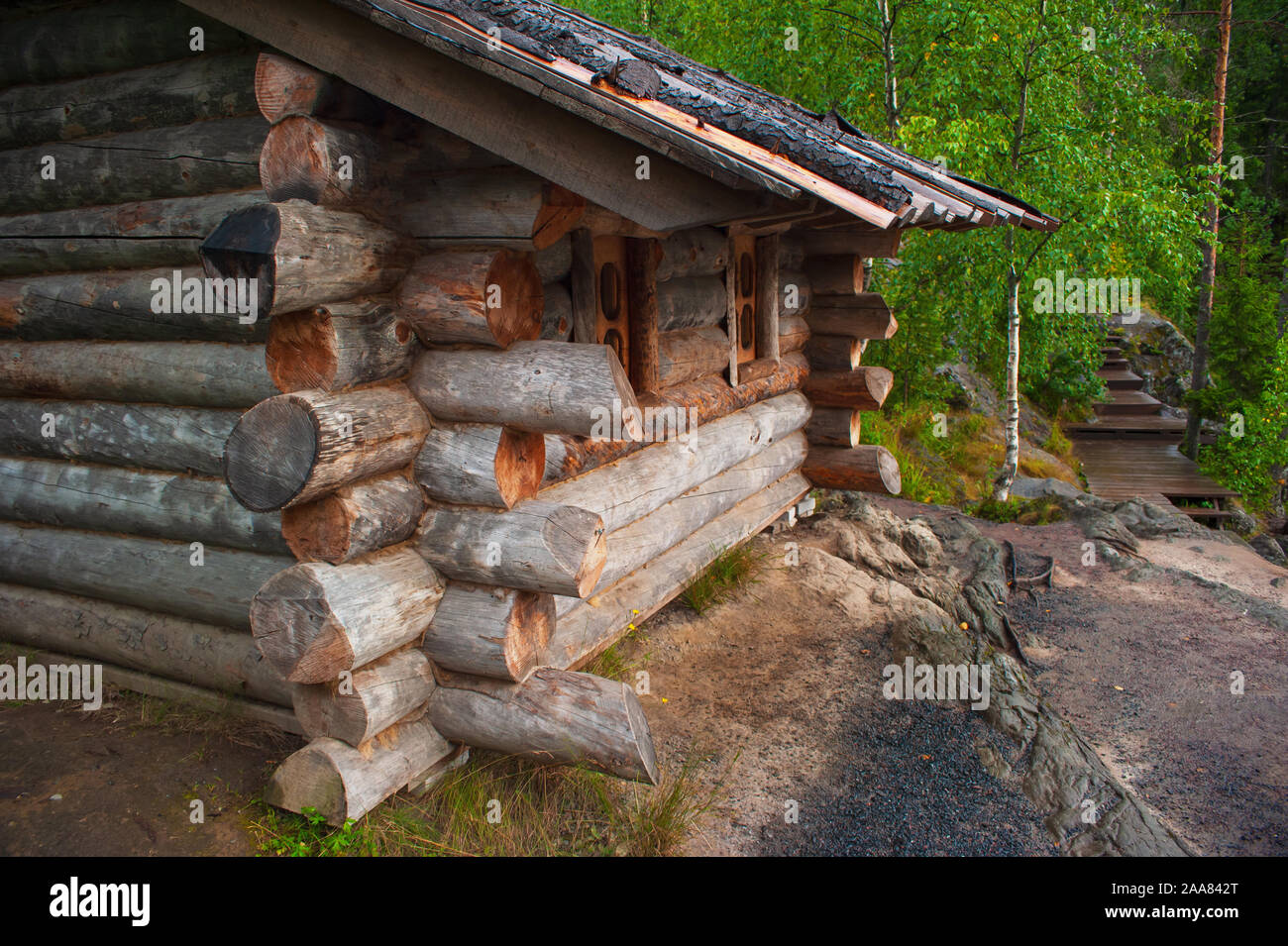 Old abandoned hut in the forest Stock Photo - Alamy