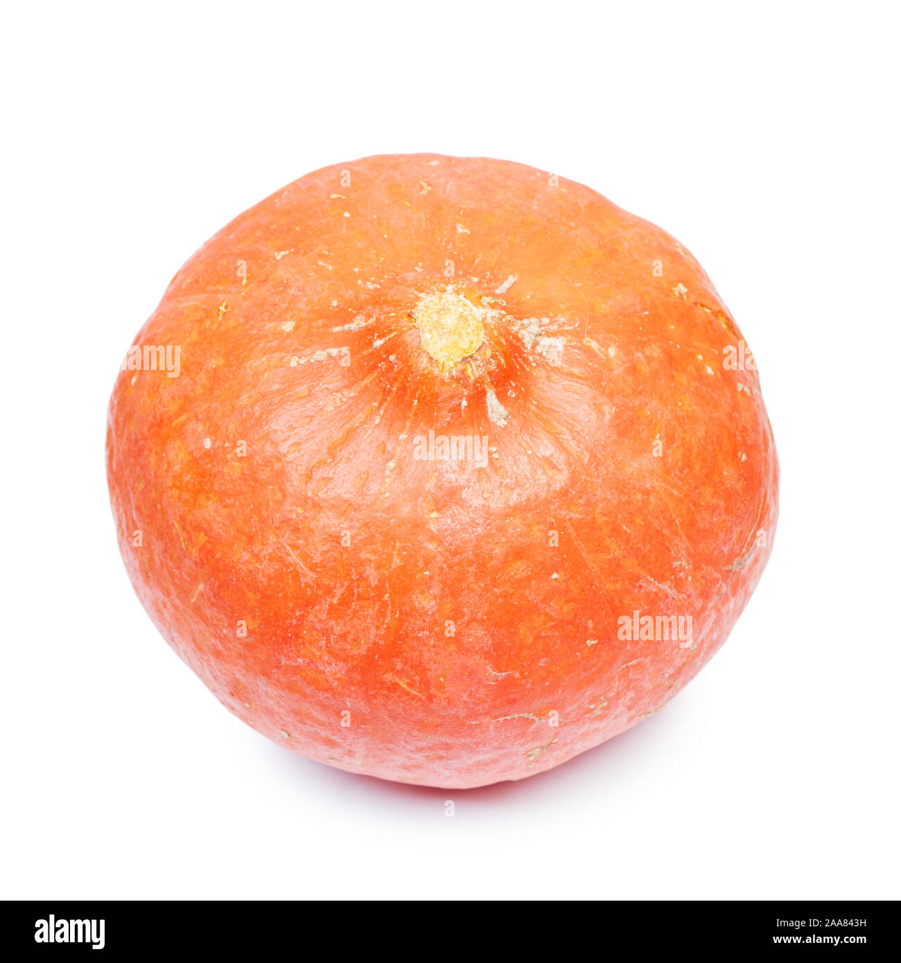 One pumpkin isolated on white Stock Photo - Alamy