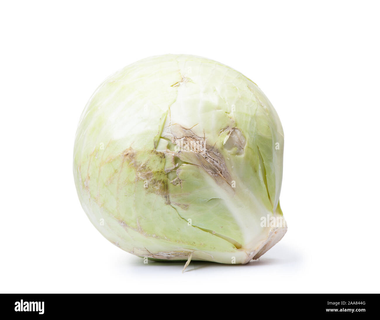 Rotten cabbage Cut Out Stock Images & Pictures - Alamy
