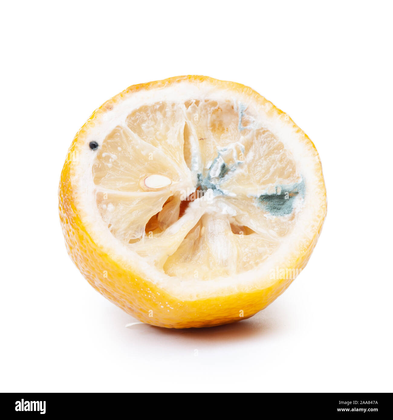 Half of rotten lemon isolated over white background Stock Photo - Alamy