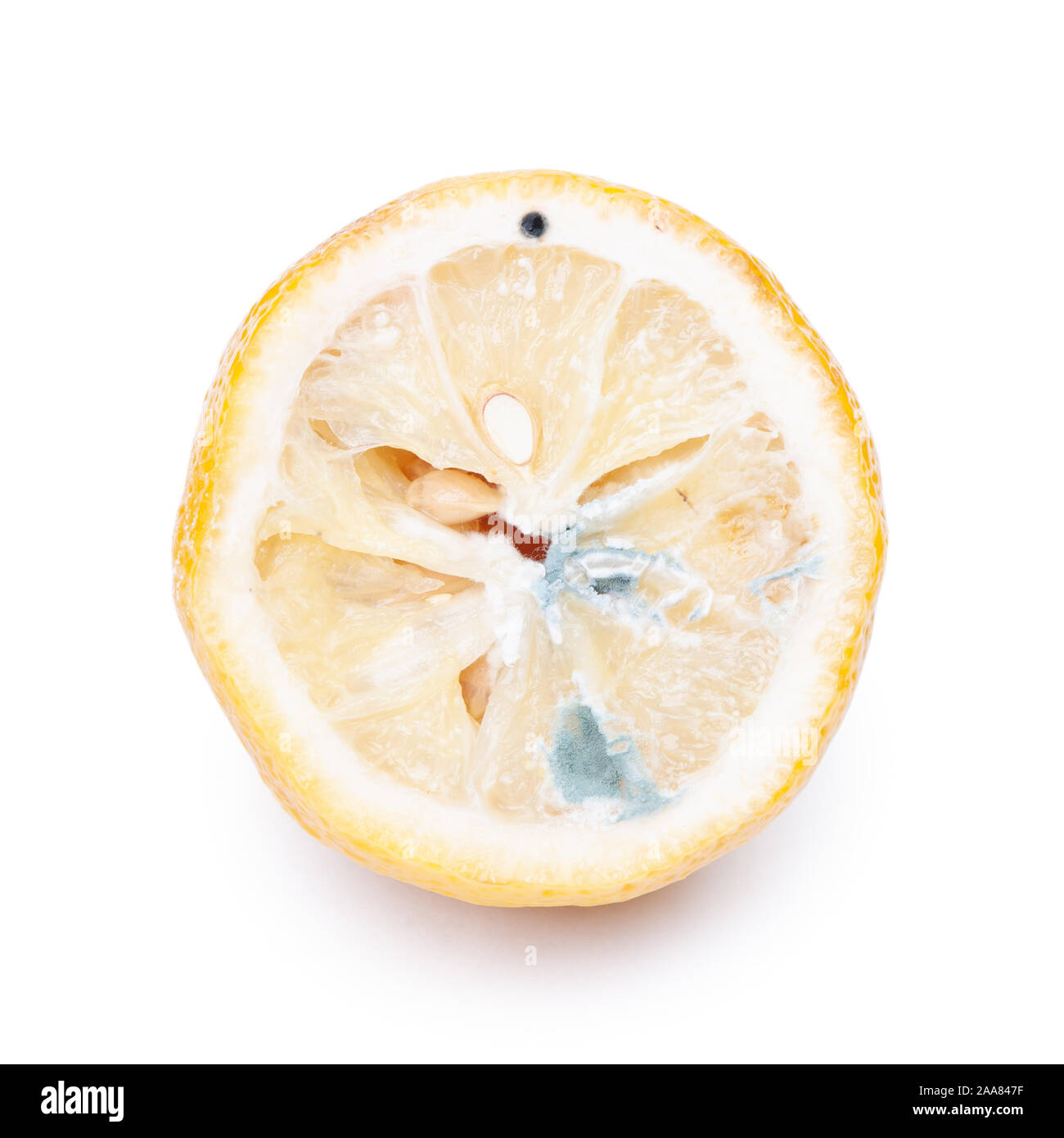 Half of rotten lemon isolated over white background Stock Photo - Alamy