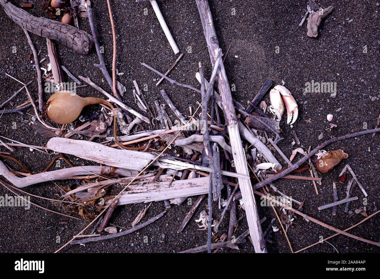 Manchester beach state park hi-res stock photography and images - Alamy