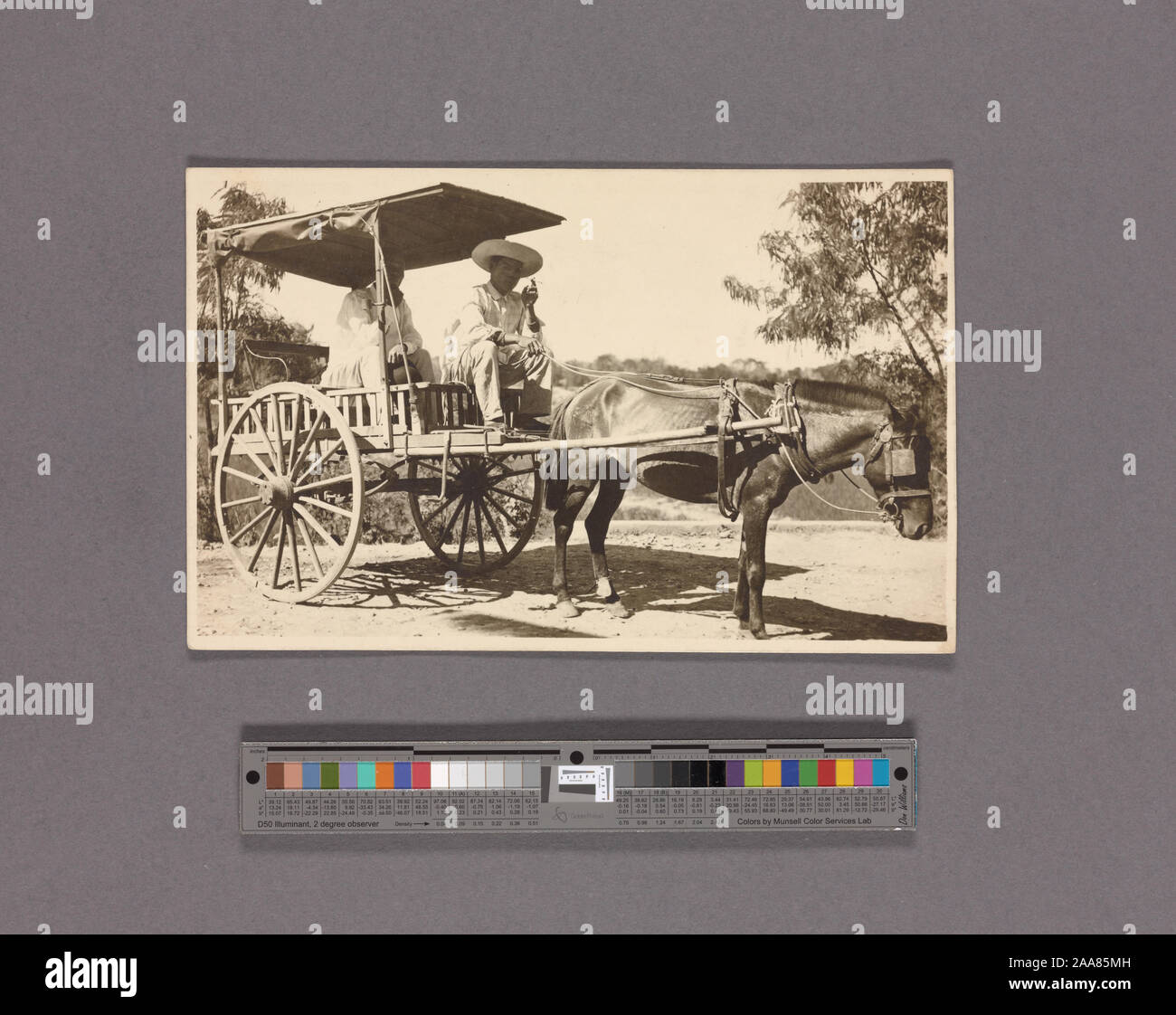 Carretela drawn by small horse.; Carretela drawn by small horse Stock ...