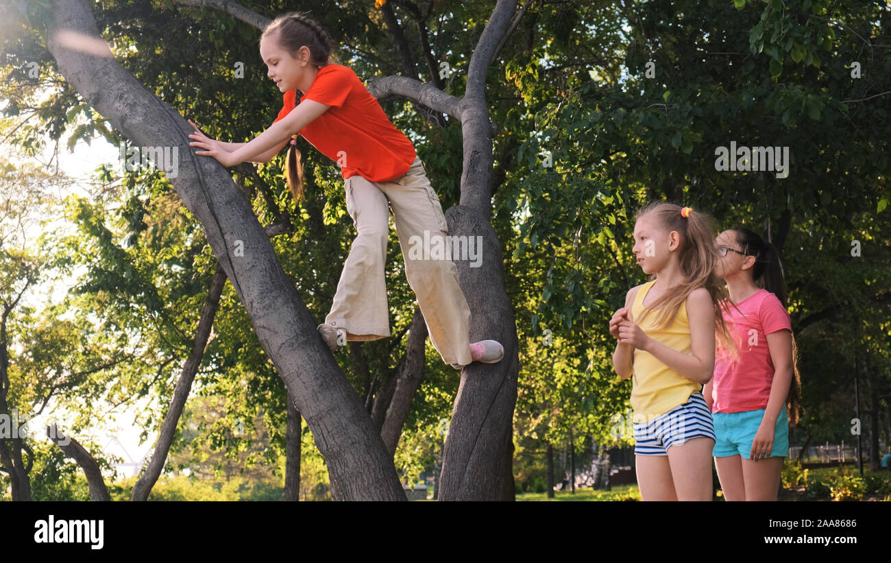 Happy child climbed on the trees. A group of children of schoolchildren ...