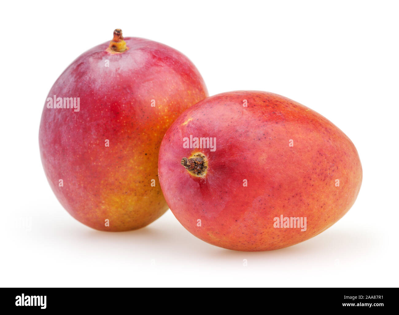 Two mangoes isolated on white background with clipping path Stock Photo ...
