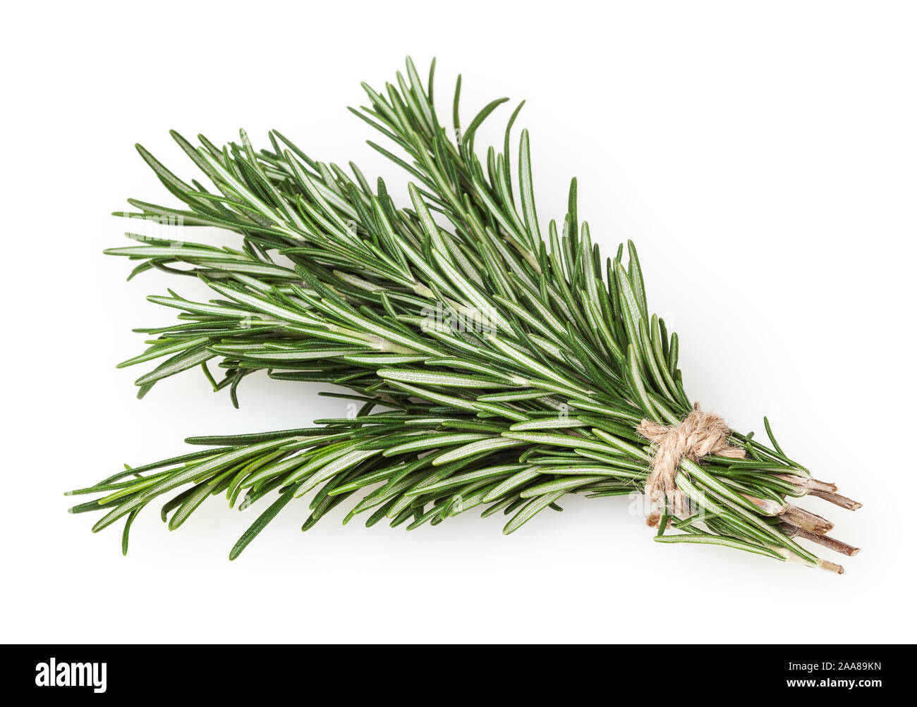Fresh rosemary bunch isolated on white background Stock Photo - Alamy